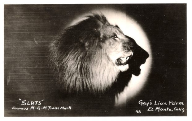 MGM: El león más famoso del cine - Silenzine